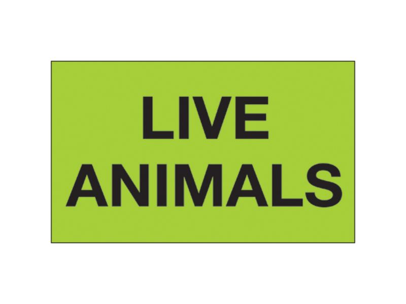 Live Animals Fluorescent Green Labels